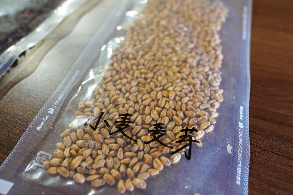 一杯のビールは畑から生まれる。上富良野で『サッポロ クラシック』の故郷を訪ねた【北海道取材#3】 – Syupo [シュポ]