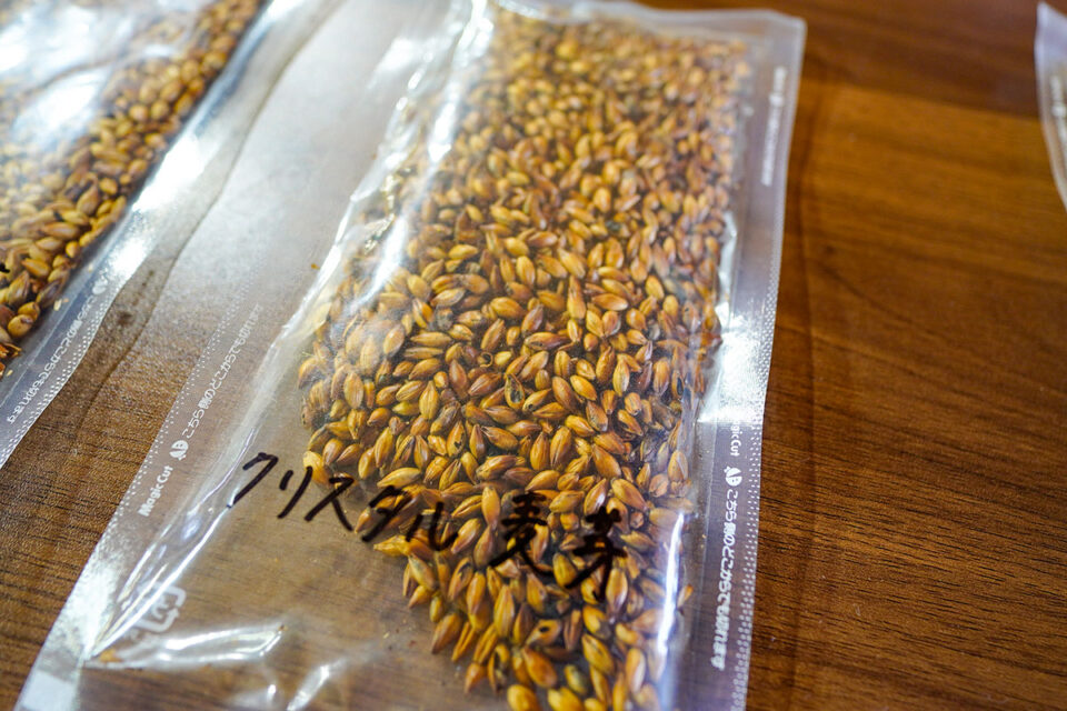 一杯のビールは畑から生まれる。上富良野で『サッポロ クラシック』の故郷を訪ねた【北海道取材#3】 – Syupo [シュポ]