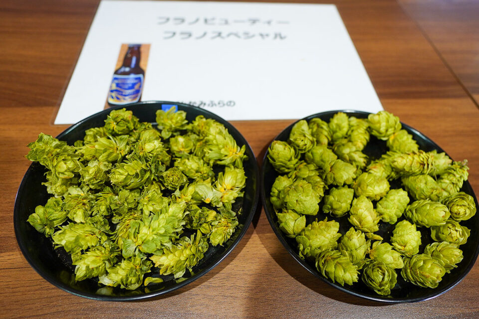 一杯のビールは畑から生まれる。上富良野で『サッポロ クラシック』の故郷を訪ねた【北海道取材#3】 – Syupo [シュポ]