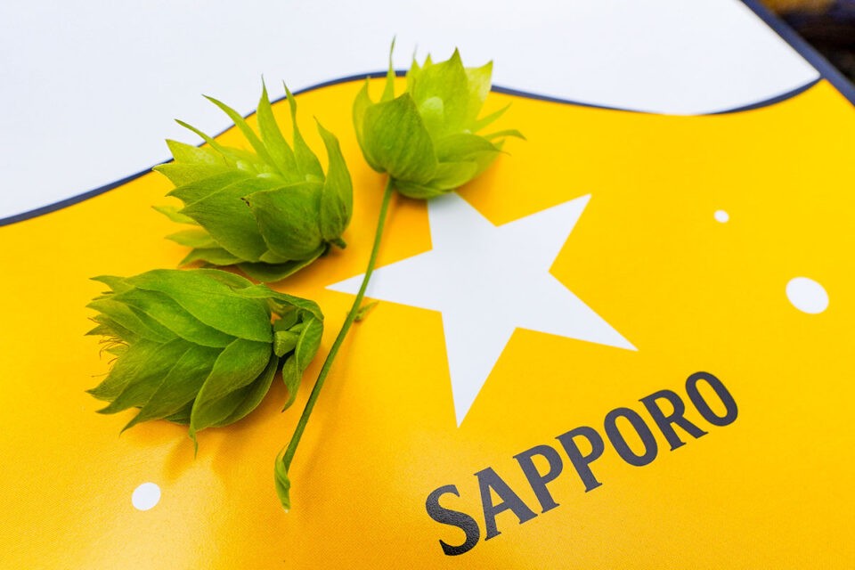 一杯のビールは畑から生まれる。上富良野で『サッポロ クラシック』の故郷を訪ねた【北海道取材#3】 – Syupo [シュポ]